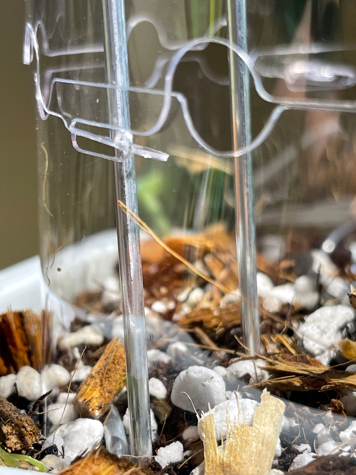 Clear Pot Extenders Instructions & Tips – Rousseau Plant Care